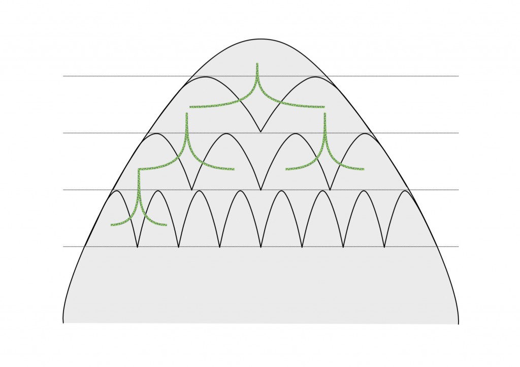 Kurzlehrgang Wisdom Science - Wisdom Science